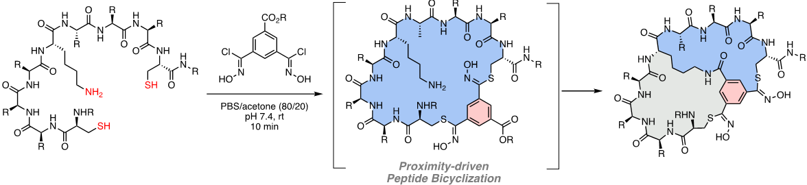 The Gao Group - Chemistry Department - Boston College