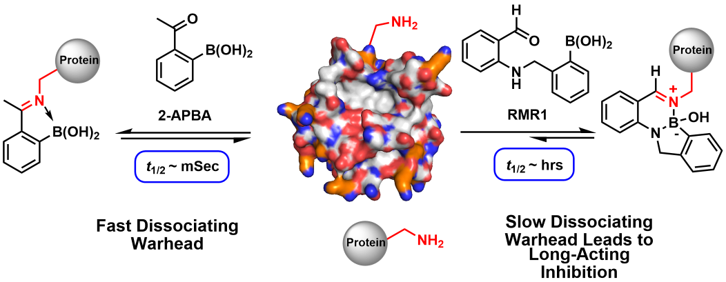 The Gao Group - Chemistry Department - Boston College