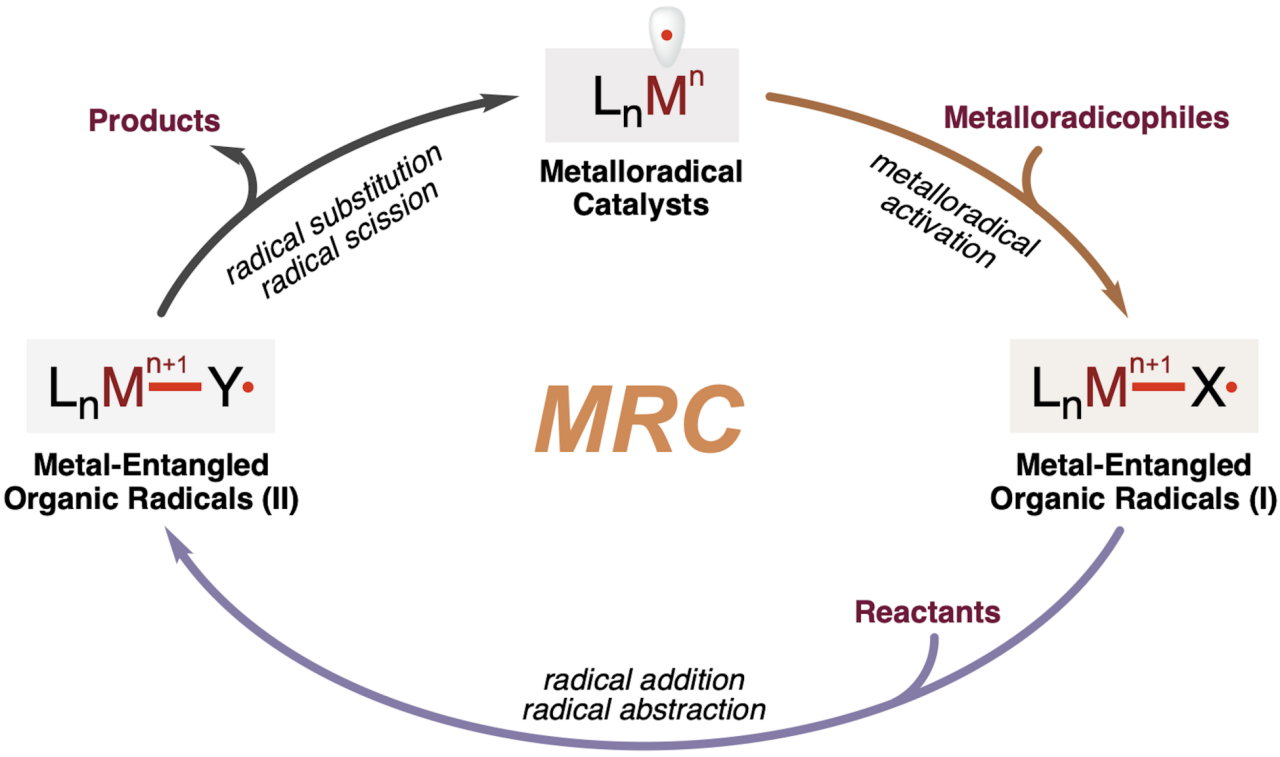 Zhang Group - Chemistry Department - Boston College