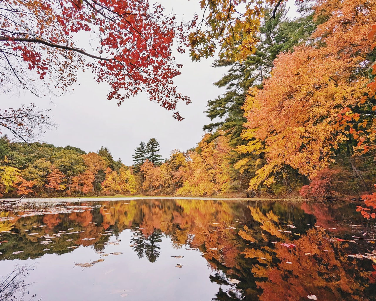 Hiking spots in and around Boston